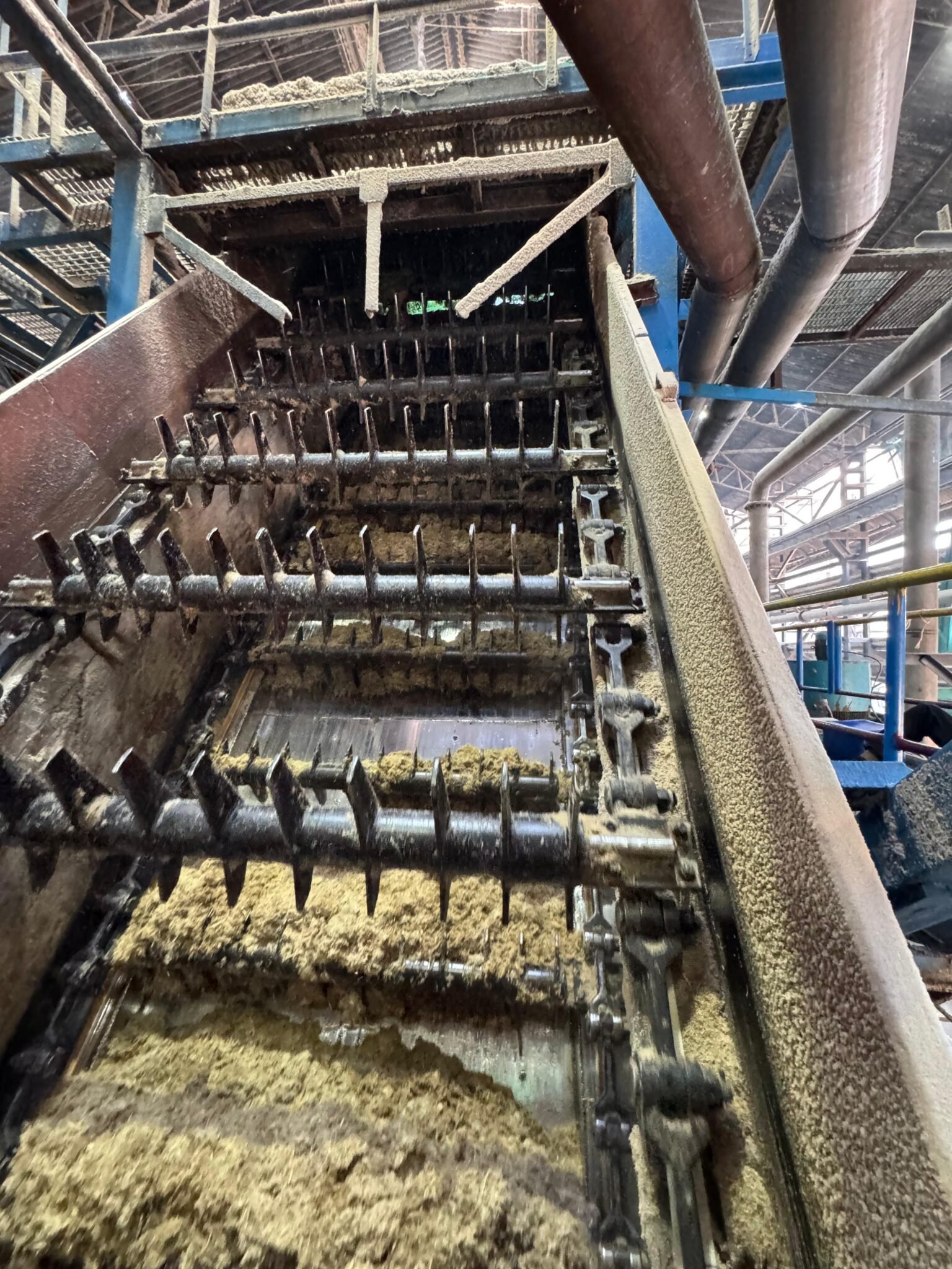 Premium Forged Rake Elevator Chains for Efficiency